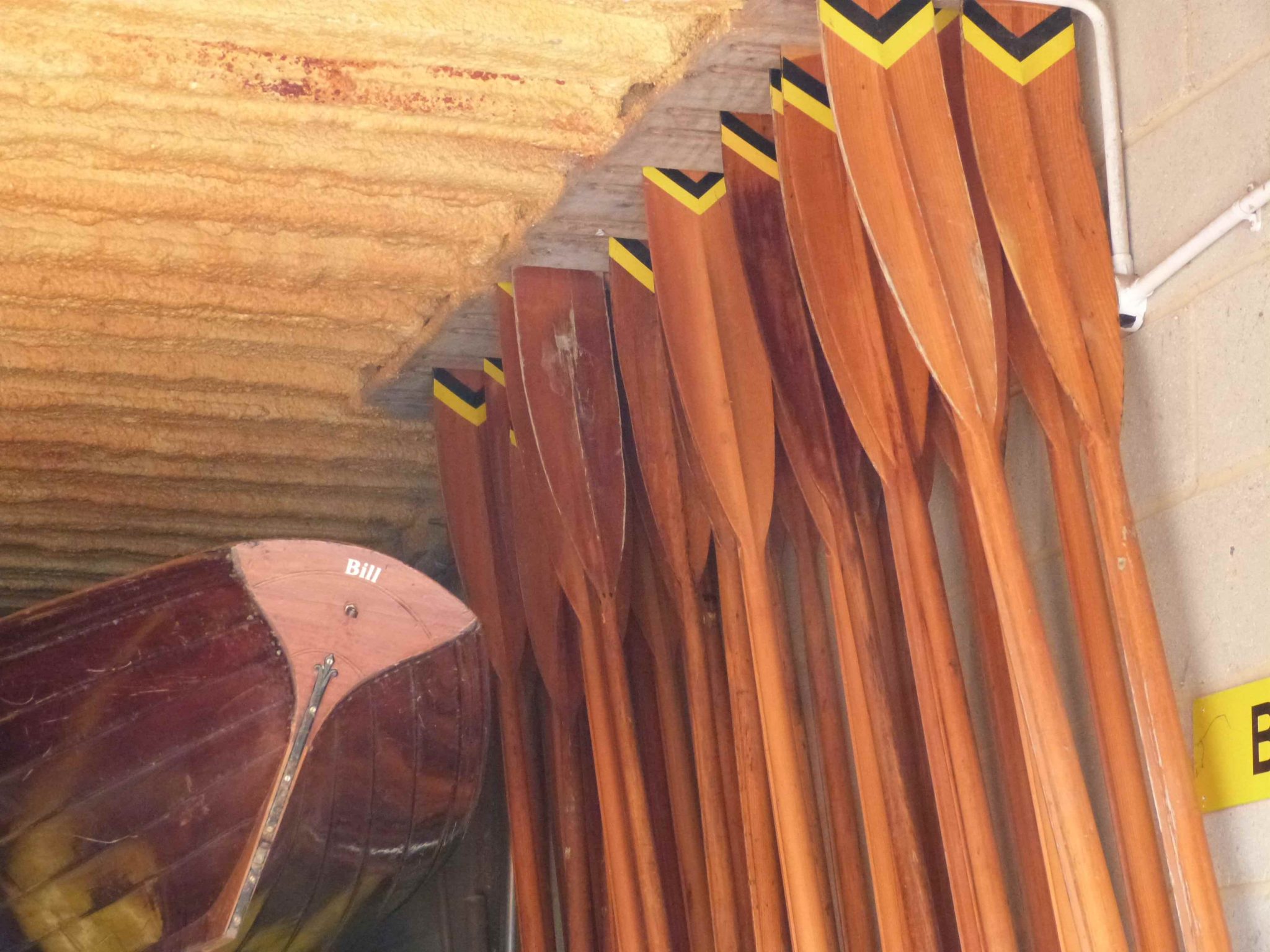 What is a Skiff? – The Skiff Racing Association